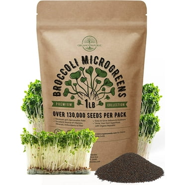 Gardens Alive! Seed Sprouter Growing Kit - Grow 2 levels for sprouts ...