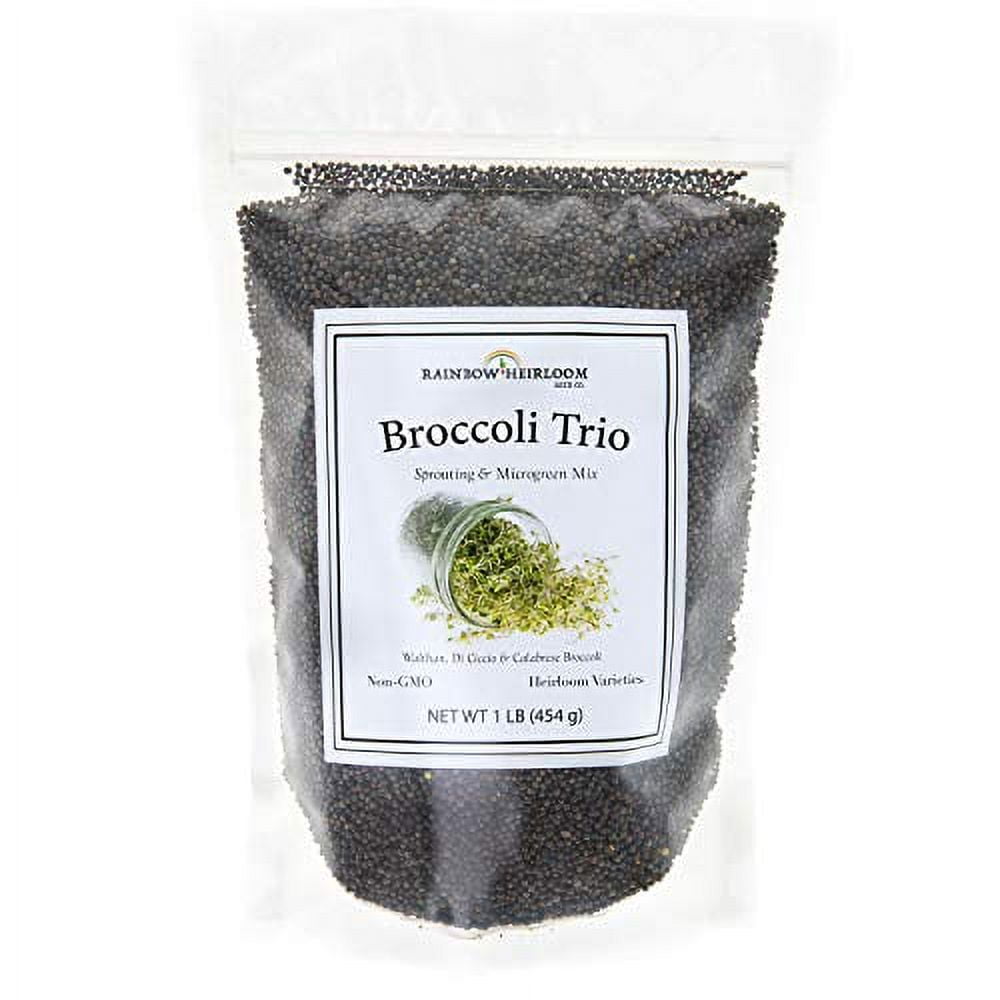 Broccoli Trio Sprouting & Microgreen Mix | Contains 3 Heirloom, Non GMO ...