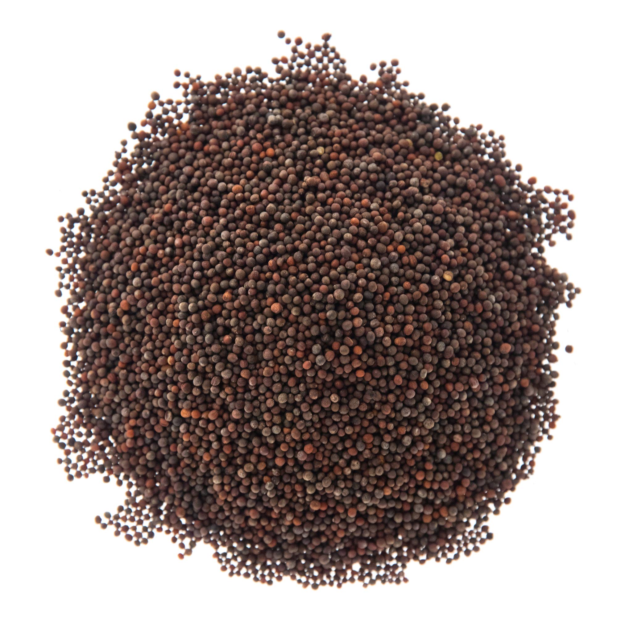 Broccoli Trio Sprouting & Microgreen Mix | H2FSDContains 3 Heirloom ...