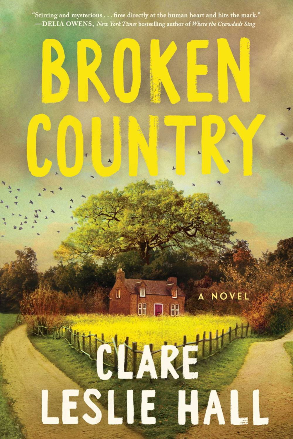 Broken Country (Reese's Book Club) (Hardcover) - Walmart.com