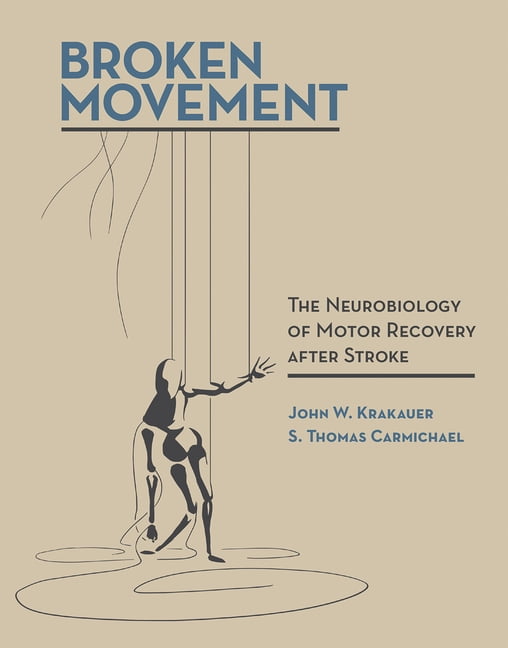 Broken Movement: The Neurobiology of Motor Recovery After Stroke ...