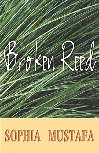 Broken Reed - Walmart.com