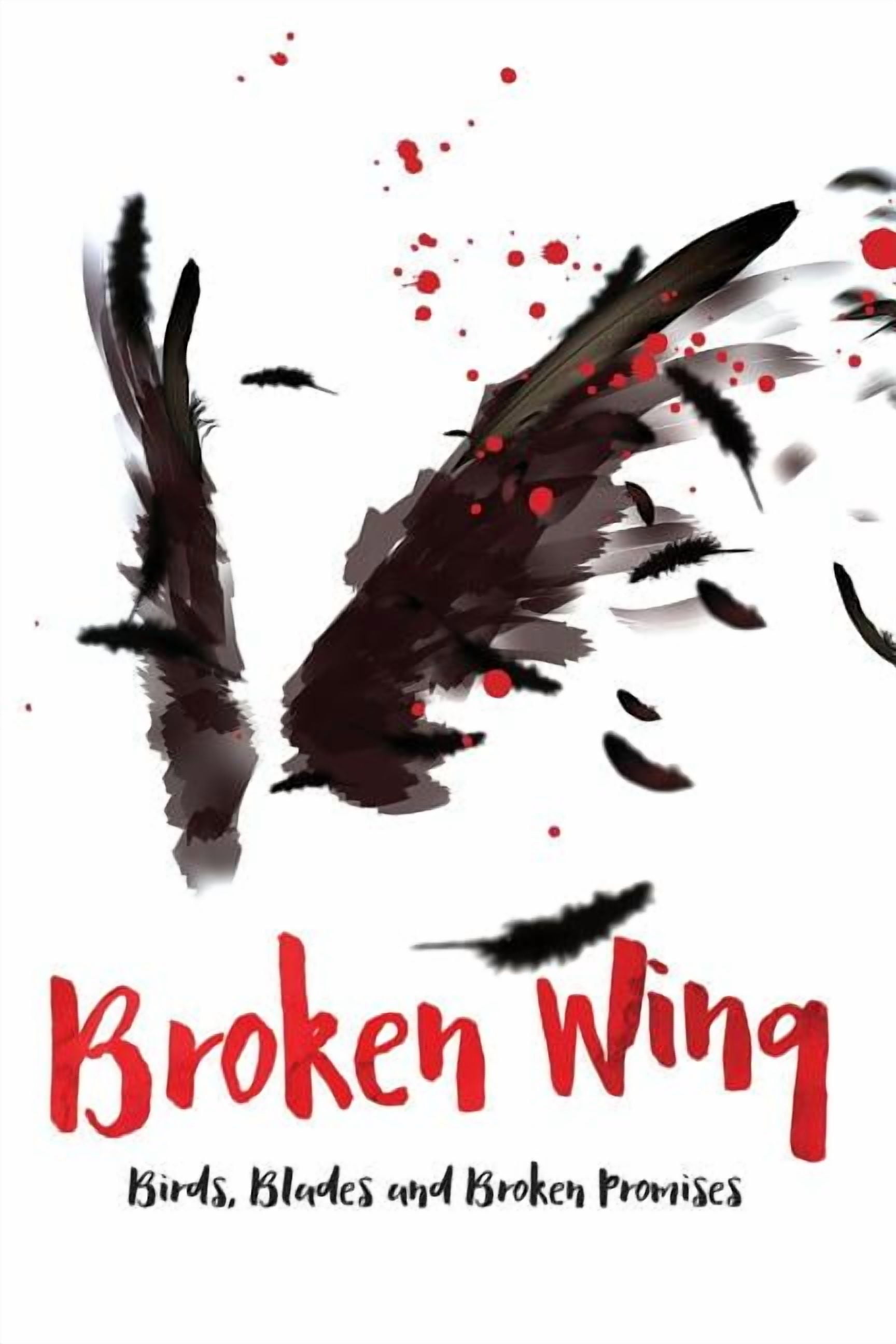 Broken Wing: Birds, Blades and Broken Promises, (Paperback) - Walmart.com