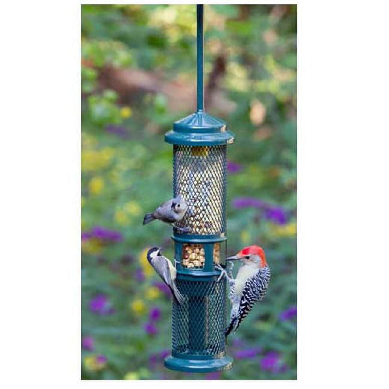 Brome Bird Care BD1052squirrel Buster Peanut Plus - Walmart.com