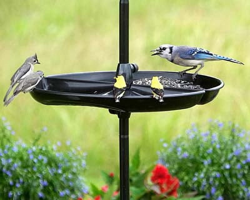Brome Bird Care Seed Buster Seed Tray Catcher (1020) Eliminates Ground ...