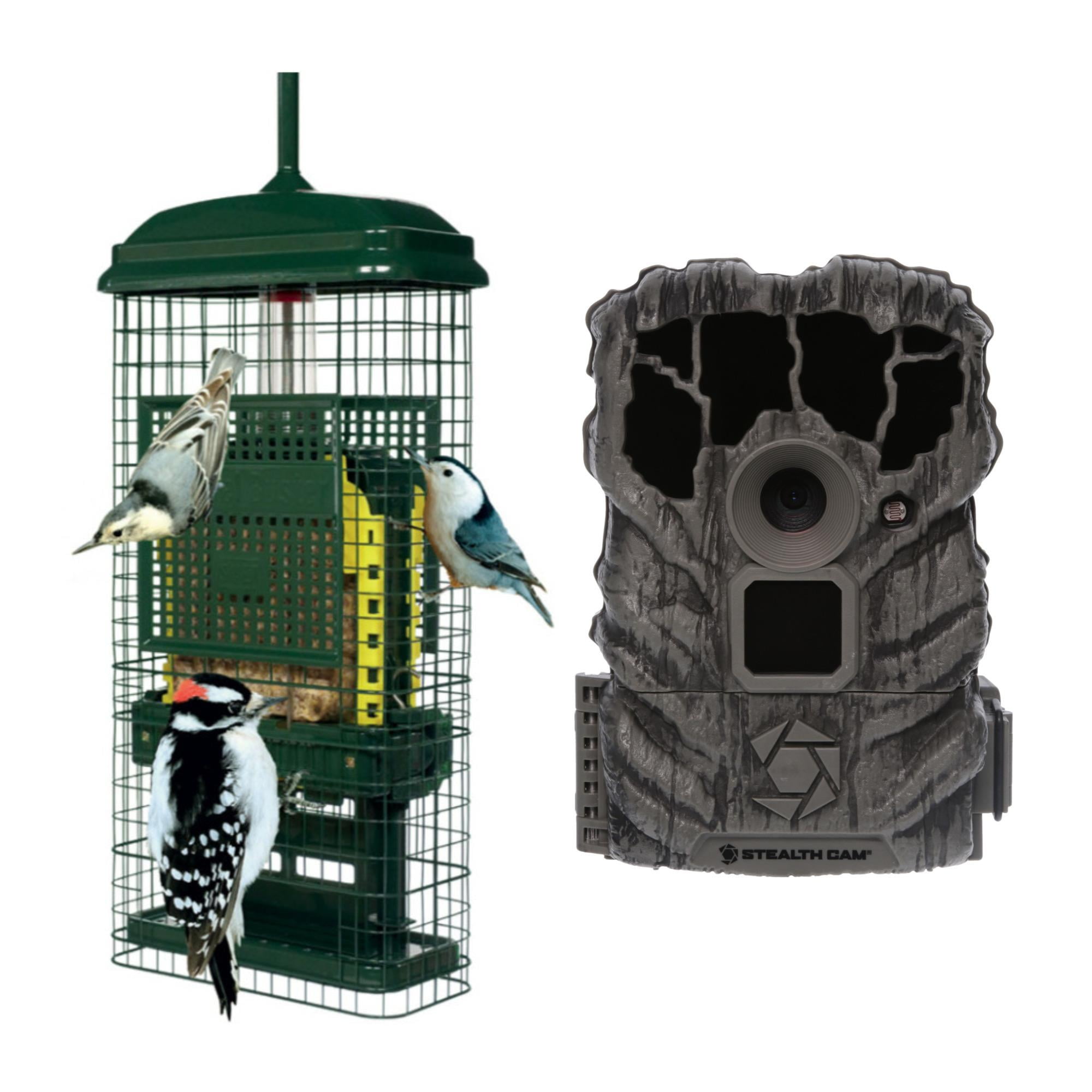 Brome Bird Care Squirrel Buster Suet Feeder (Green) with Trail Camera ...