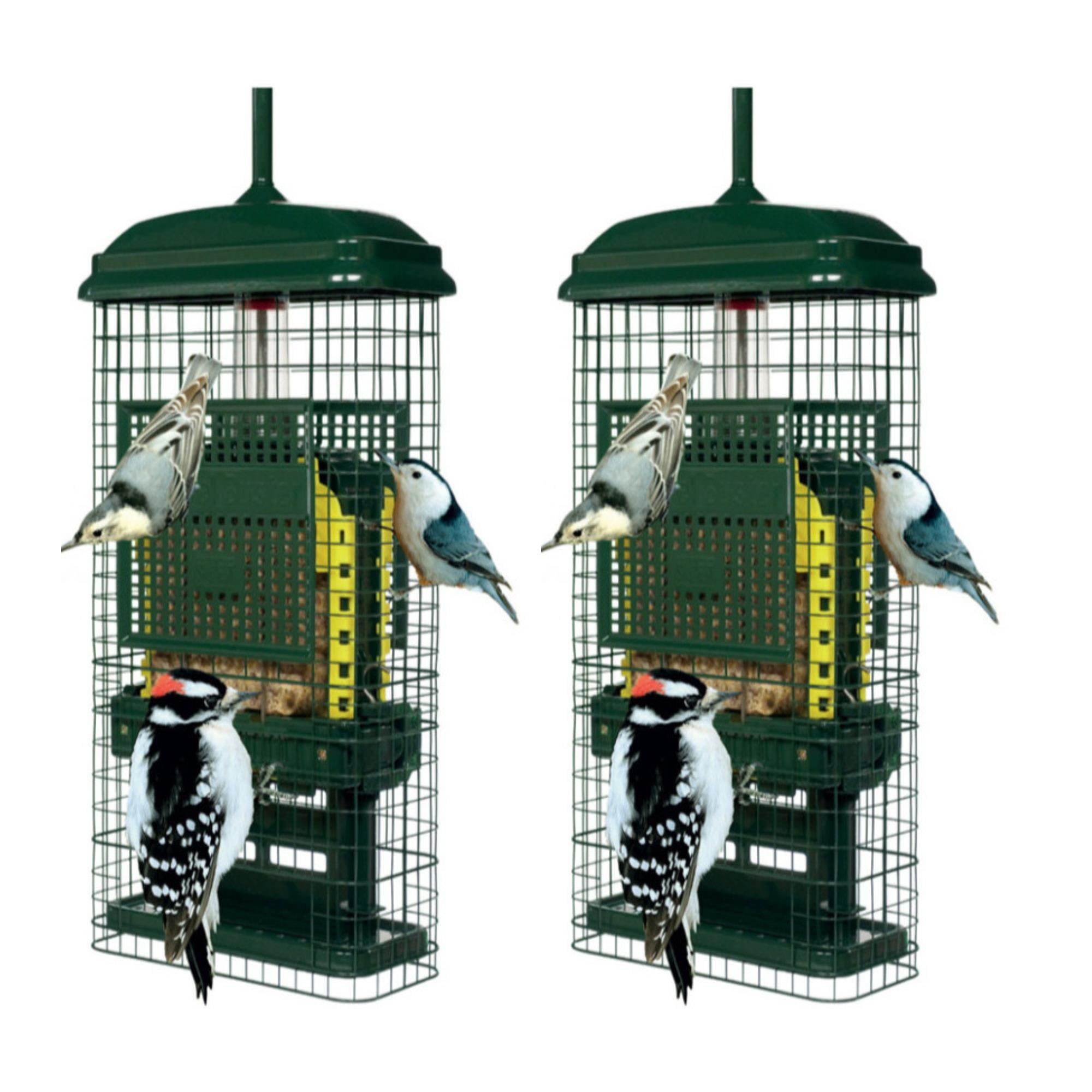 Brome Bird Care Squirrel Buster Truly Squirrel-Proof Suet Feeder (Green ...