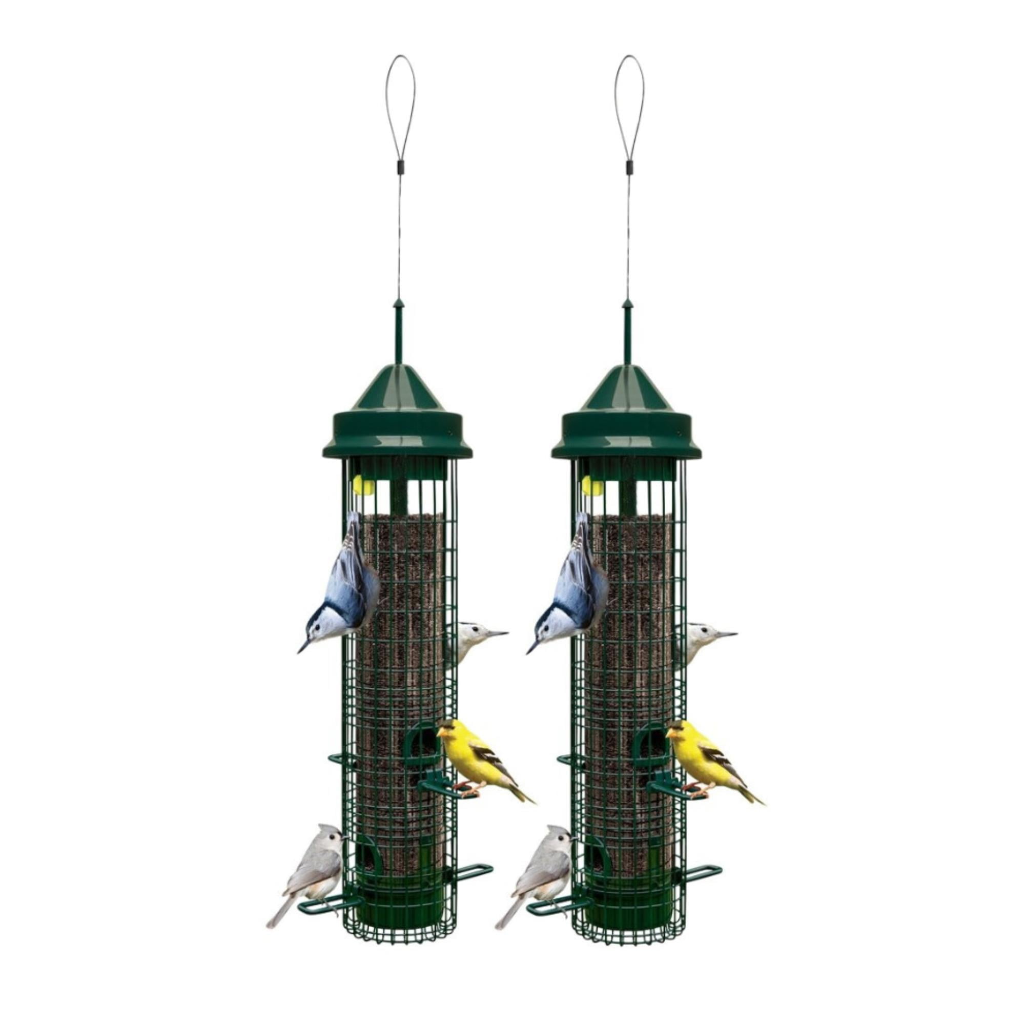 Brome Squirrel Buster Classic Squirrel-Proof Bird Feeder (2-Pack ...