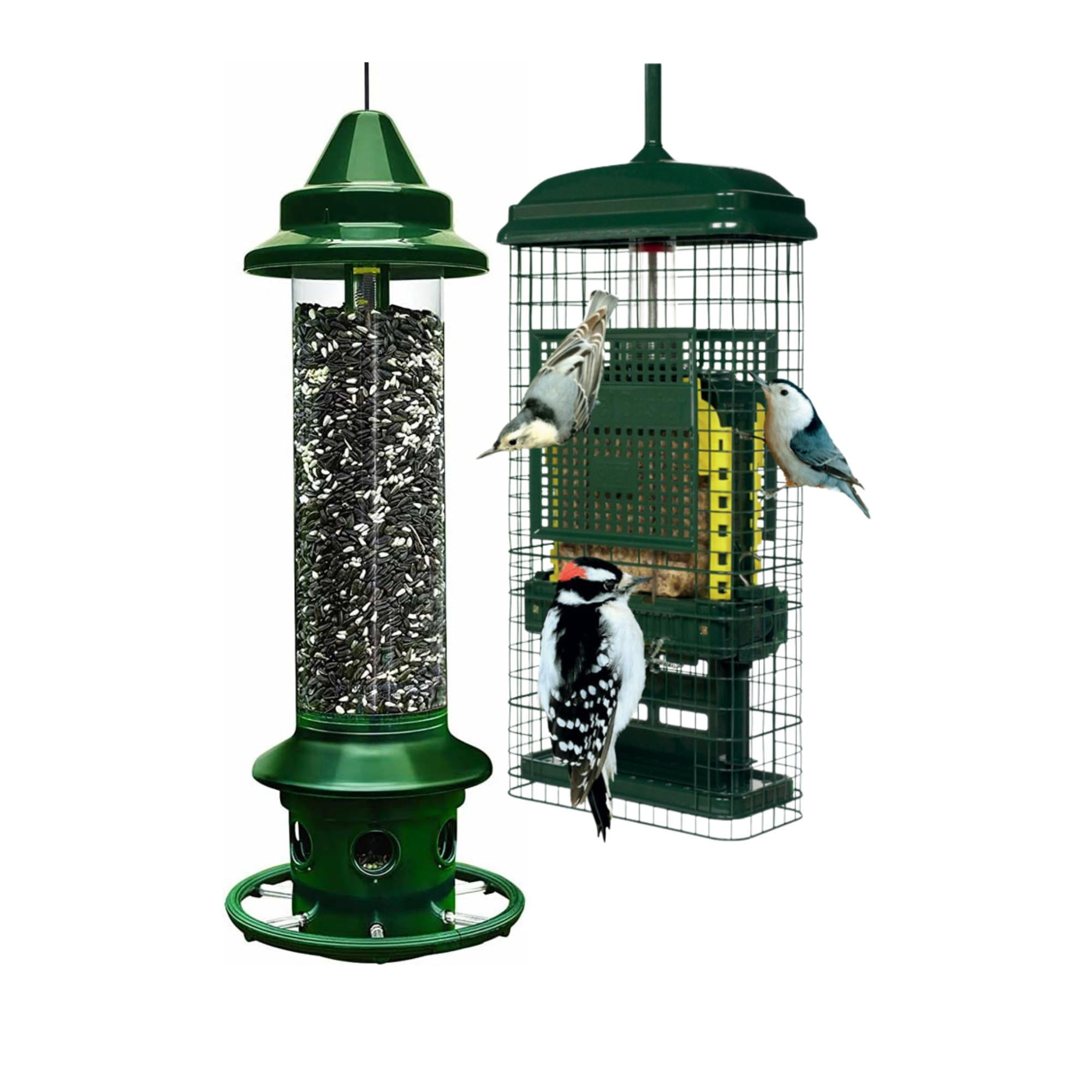 Brome Squirrel Buster Plus Bird Feeder - Squirrel-Proof with Brome Bird ...
