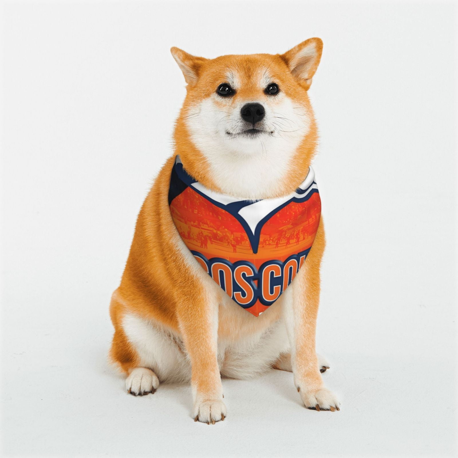 Broncos Pet Scarf Dog Bandana Washable Triangle Dog Scarf Dog Scarf Bib ...