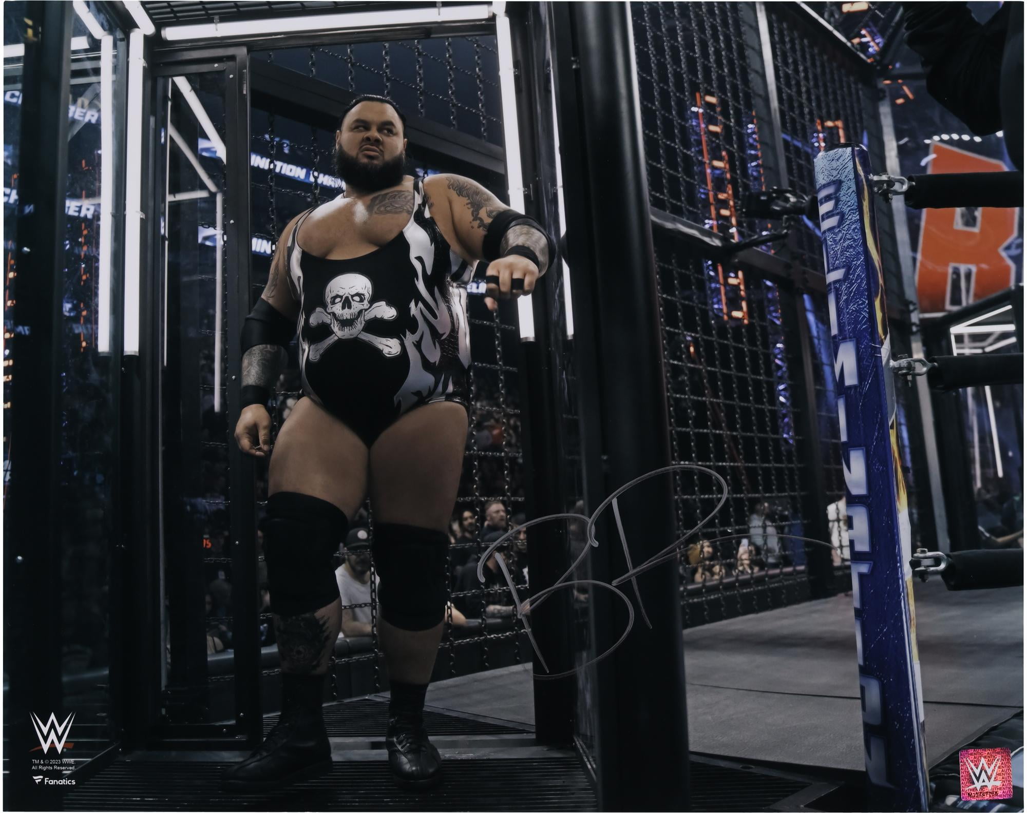 Bronson Reed WWE Autographed 16" x 20" Elimination Chamber Photograph ...