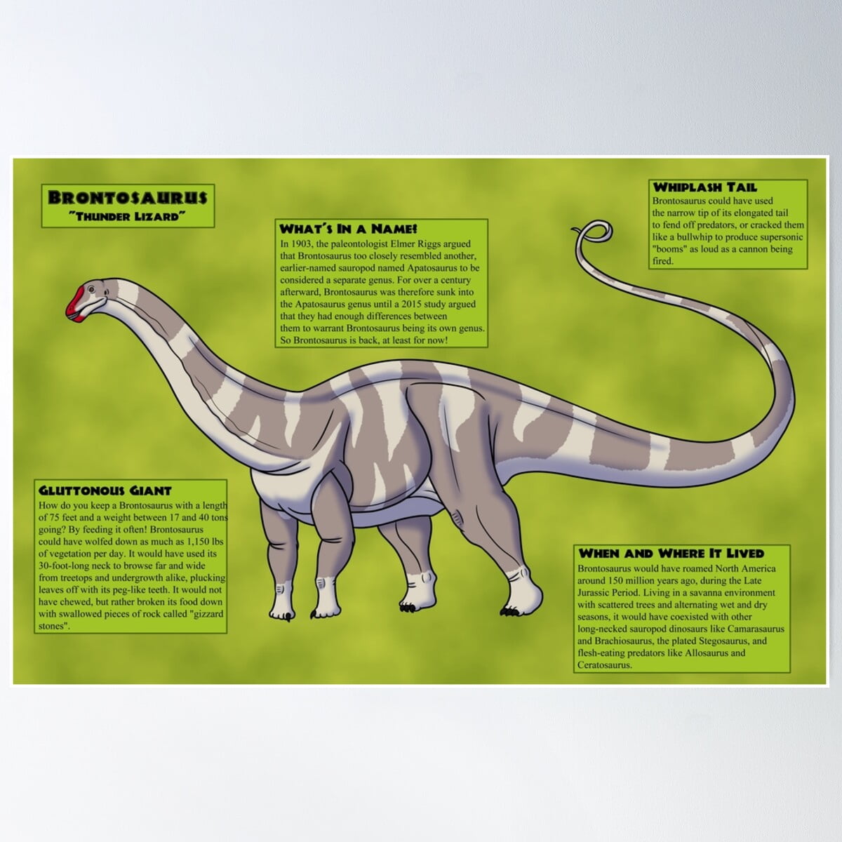 Brontosaurus Poster Poster Wall Art, Modern Wall Decor For Living Room ...