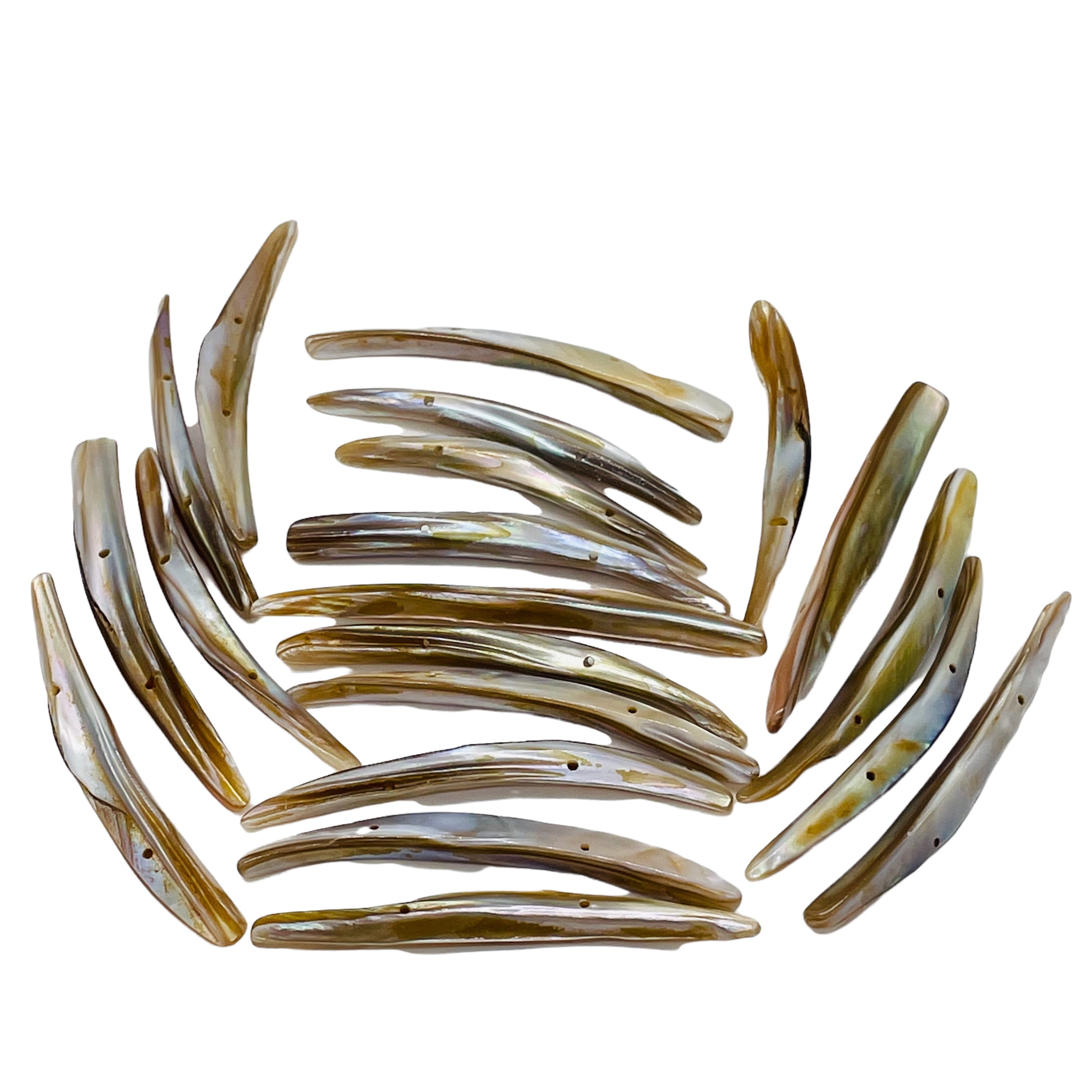Bronze Mussel Shell Double Drill Plank Beads | 4 1/4" to 3 3/4" long ...