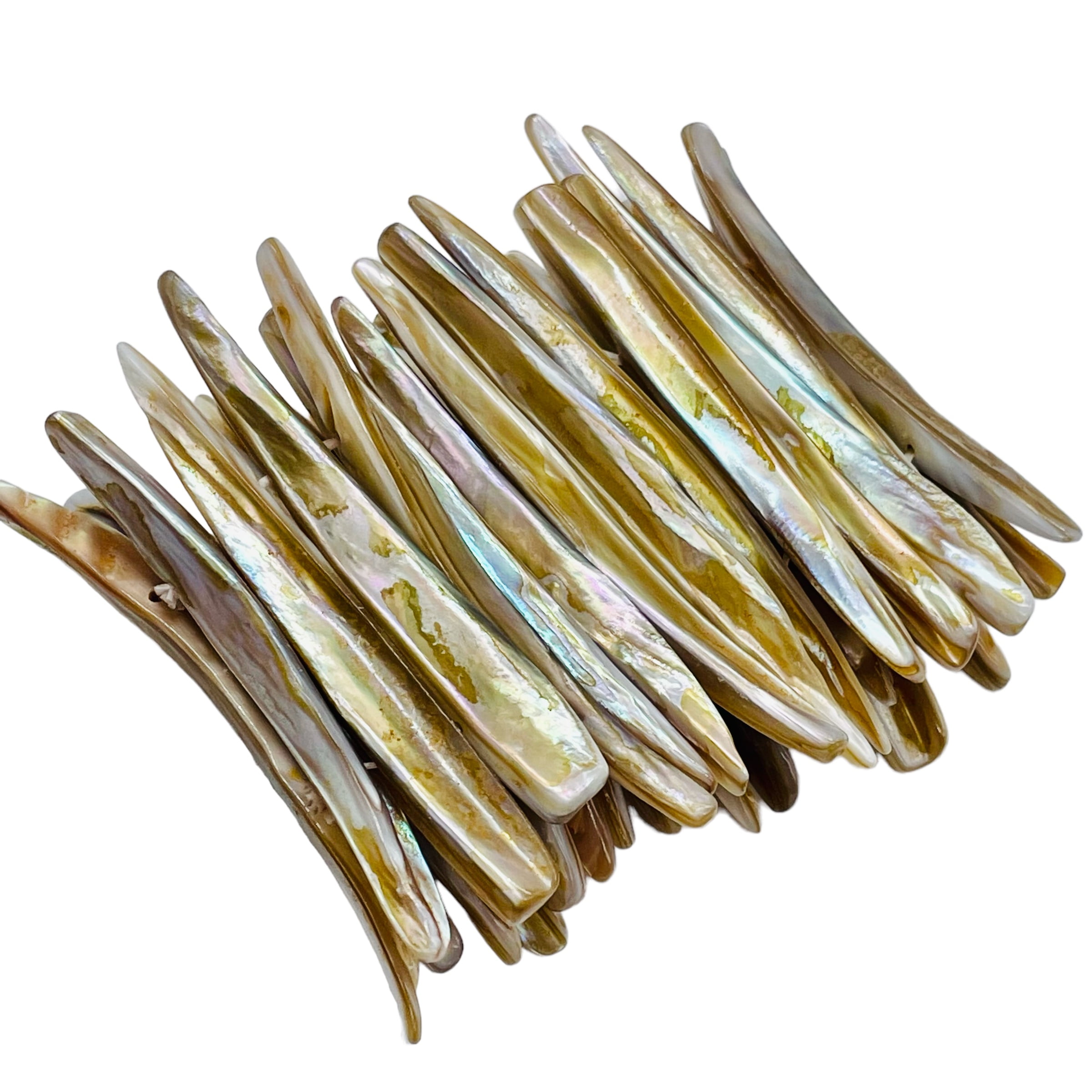 Bronze Mussel Shell Double Drill Plank Bracelet | 7 to 8 Inch" long ...