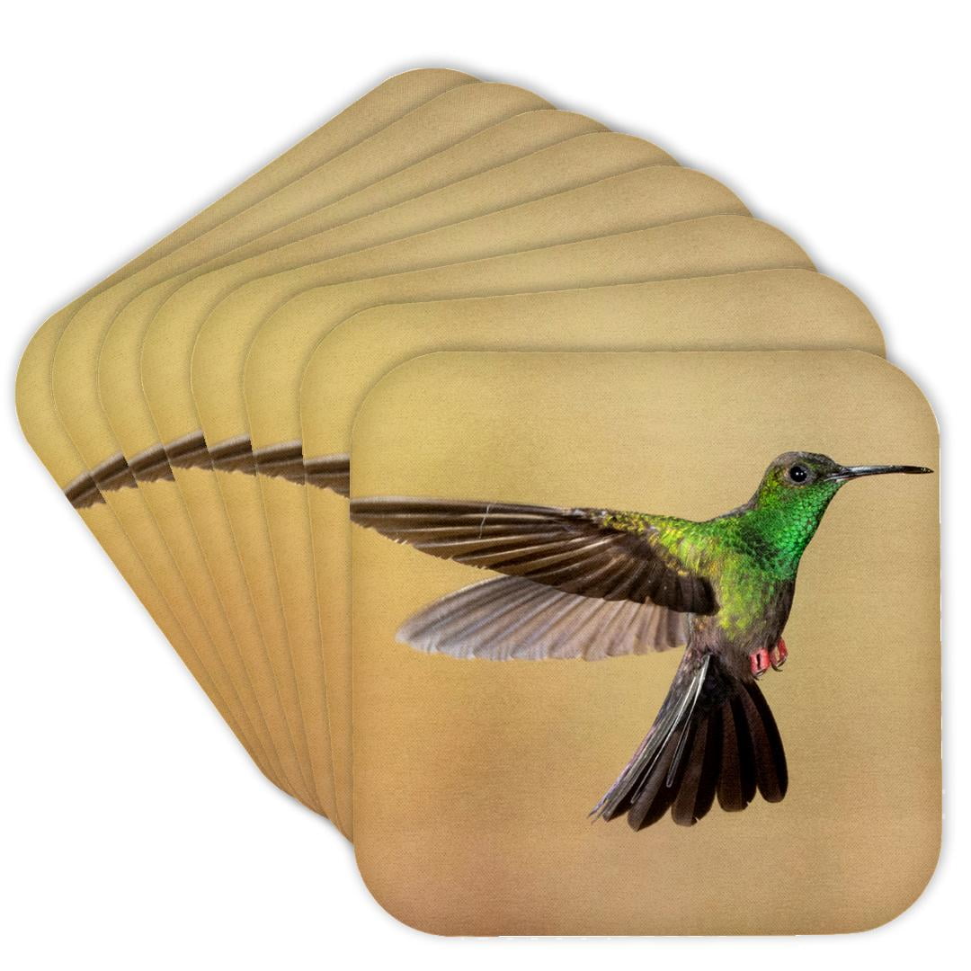 3drose, Bronze-tailed Plumeleteer Flying, Costa Rica, Central America ...