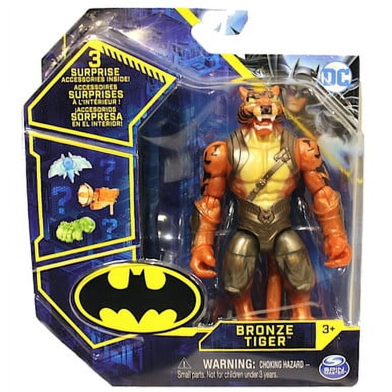 Bronze Tiger DC Heroes Unite Action Figure 4" with Accessories ...