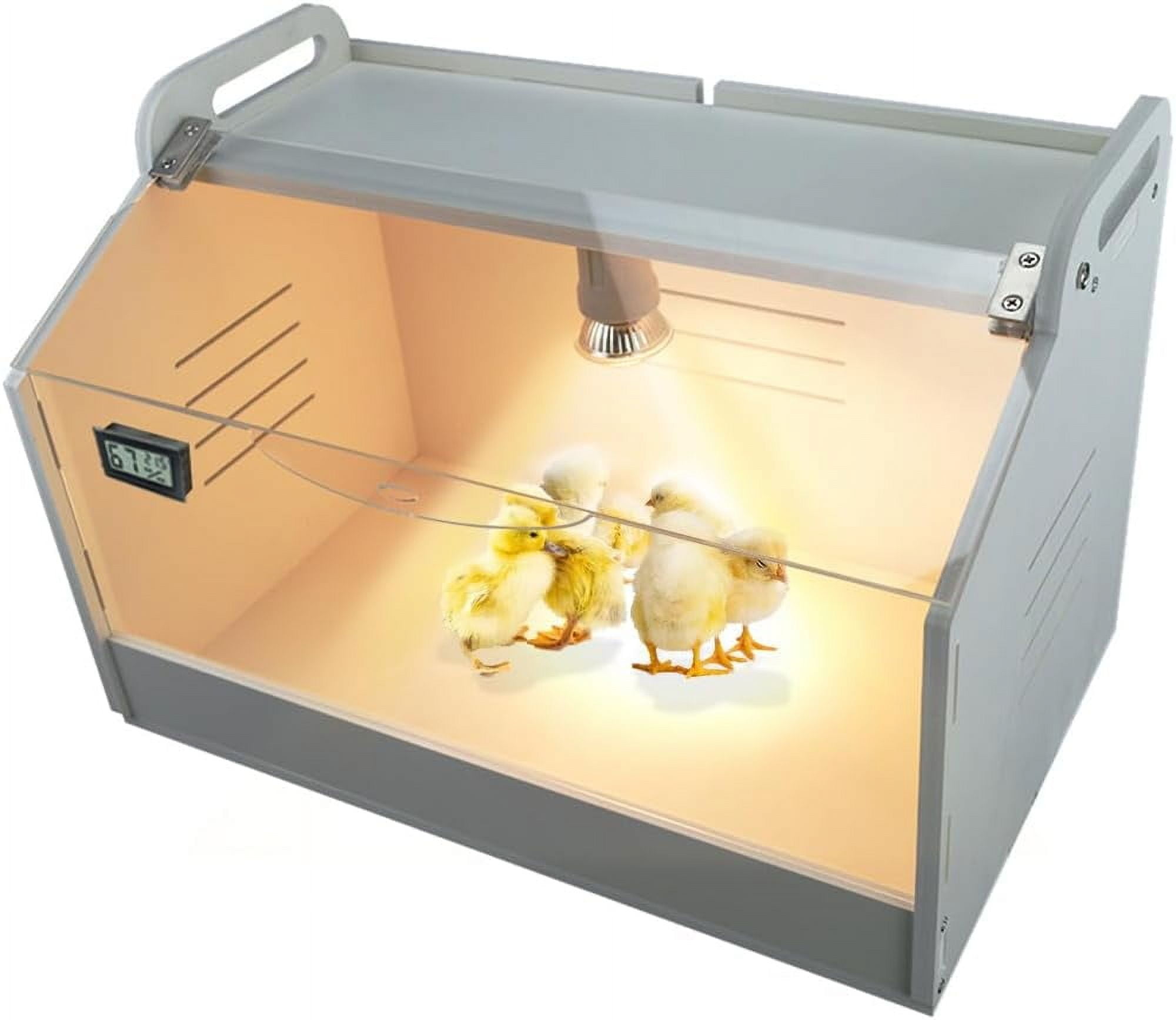 Brooder Box 10-15 Newborns Chicks Quail Birds Small Animals Manual ...