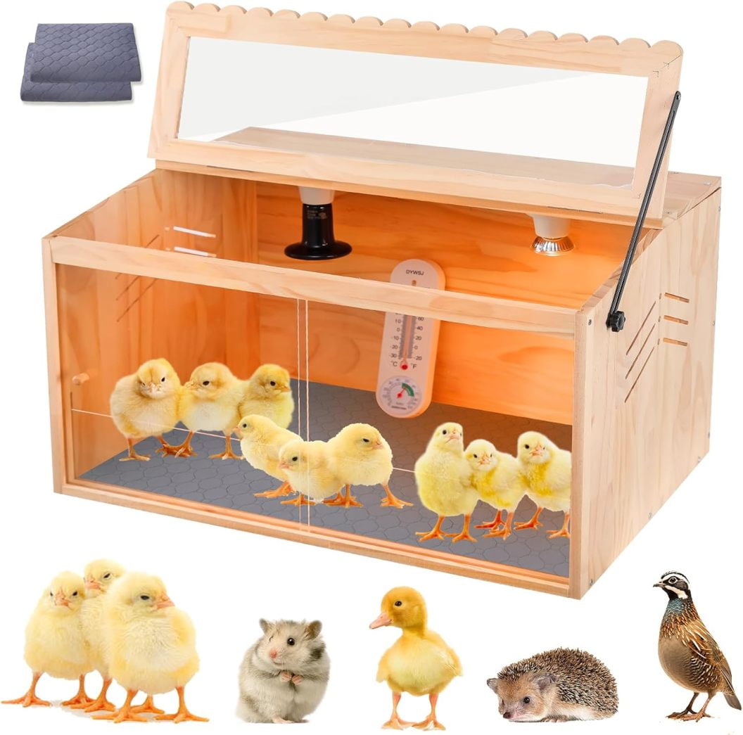 Brooder Box for Chicks, Chick Brooder Boxs, Chick Brooder, Quail Cages ...