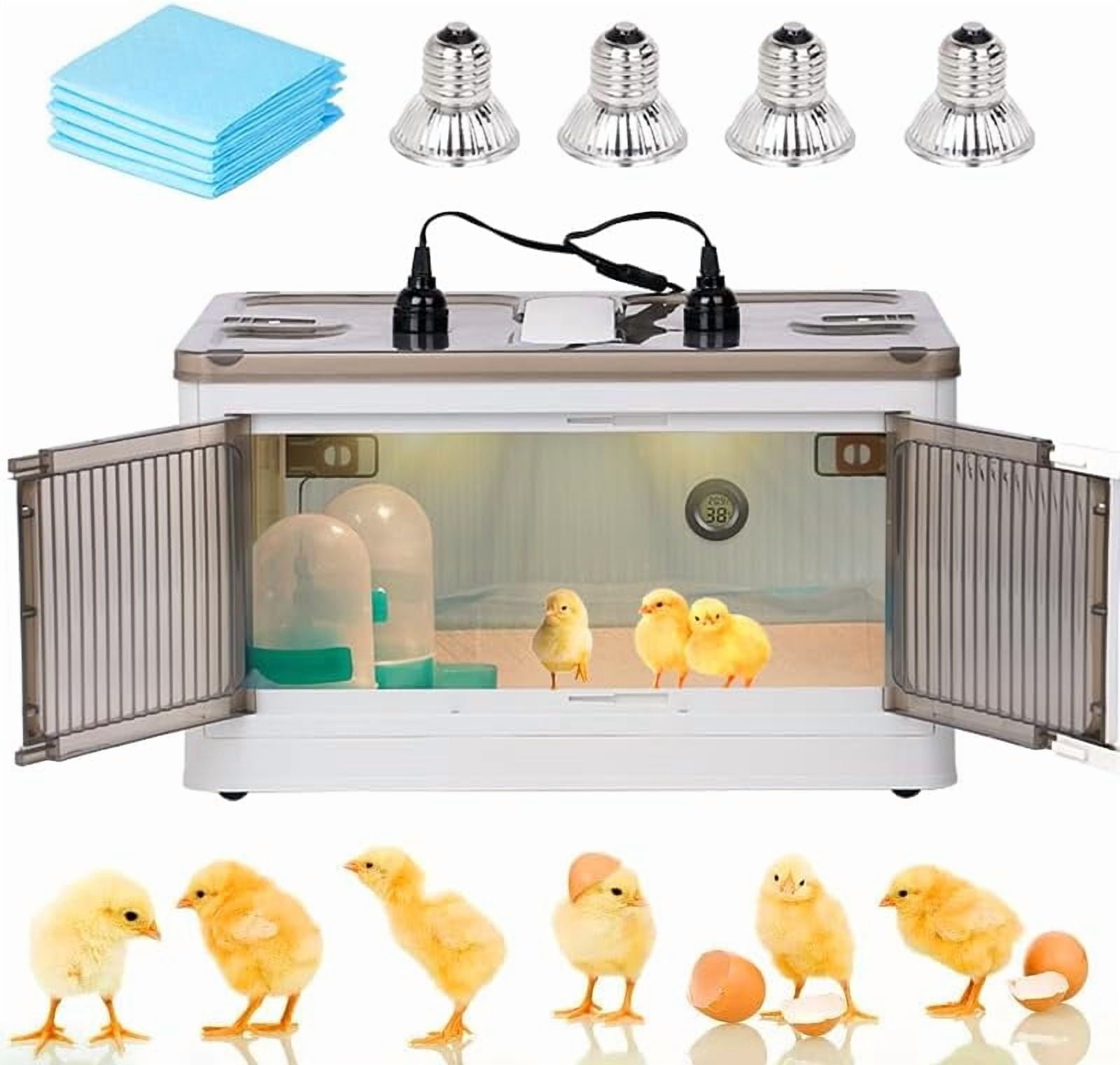 Chicken Brooder Boxes