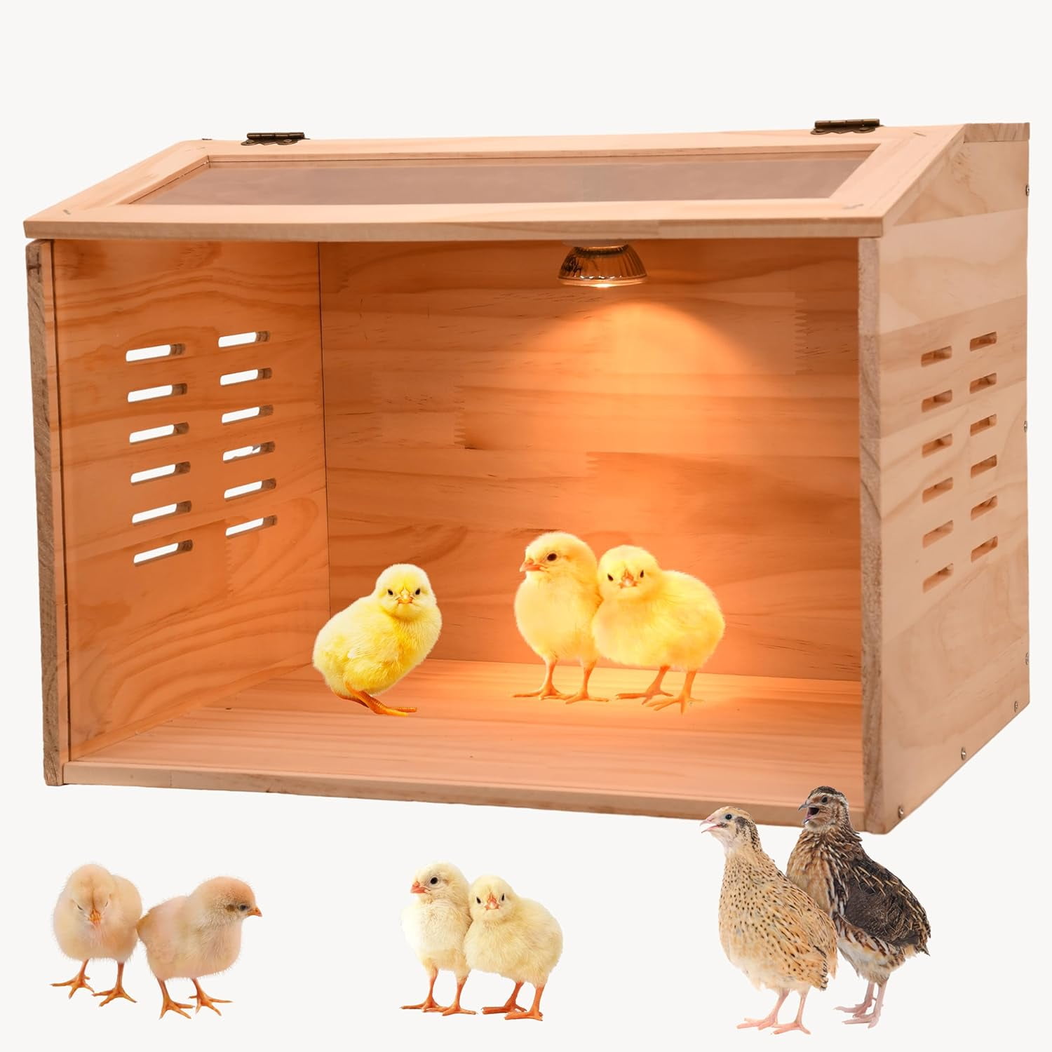 Brooder Box for Chicks, Chicken Brooder Box, Chicken Heater, Poultry ...
