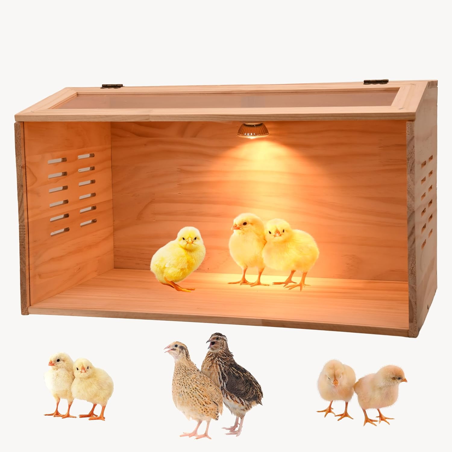 Brooder Box for Chicks, Chicken Brooder Box, Poultry Brooder with ...