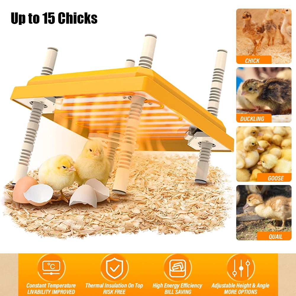 Brooder Heater for Chicks, Adjustable Height/Angle, Suitable for 15 ...