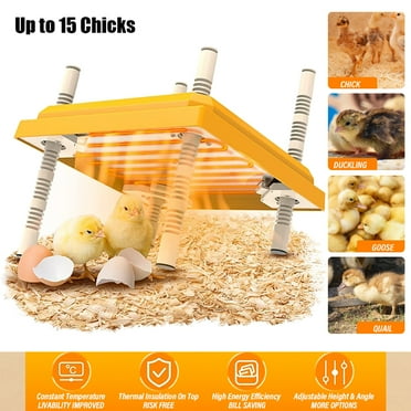 Brooder Plate for Chicks, 25W Heat Plate with Temperature Control, 9.76 ...