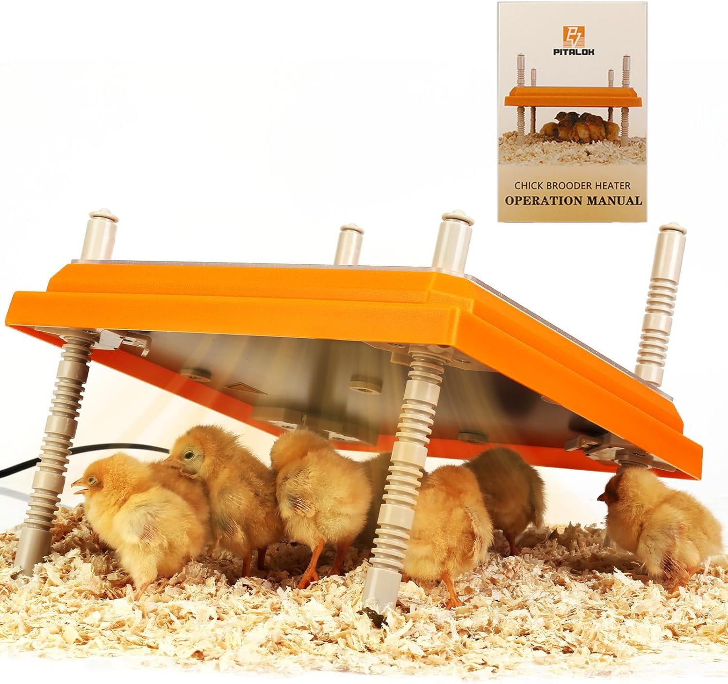 Brooder Heater for Chicks: Chick Brooder Heating Plate with Easy ...