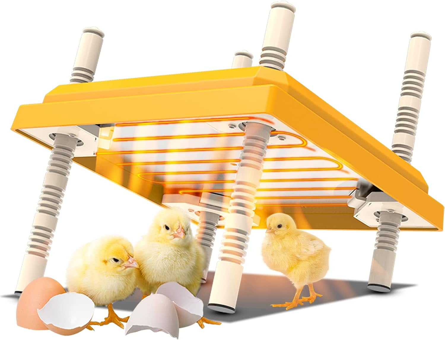 Brooder Heater for Chicks with Cleaning Plate, Safe DC Powered ...
