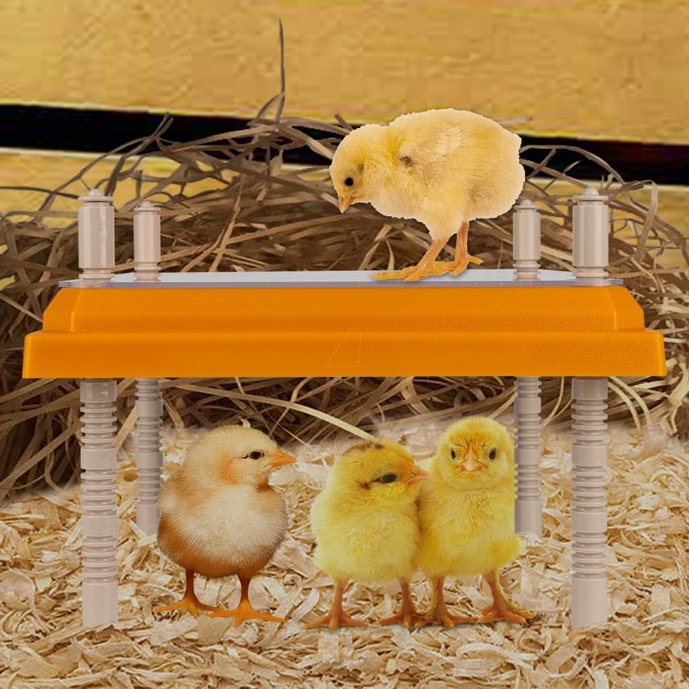 Brooder Heater for Chicks with Cleaning Plate, Safe DC Powered ...