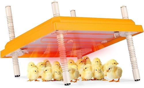 Brooder Heater for Chicks, 10" x 10" Thermostatically Controlled ...
