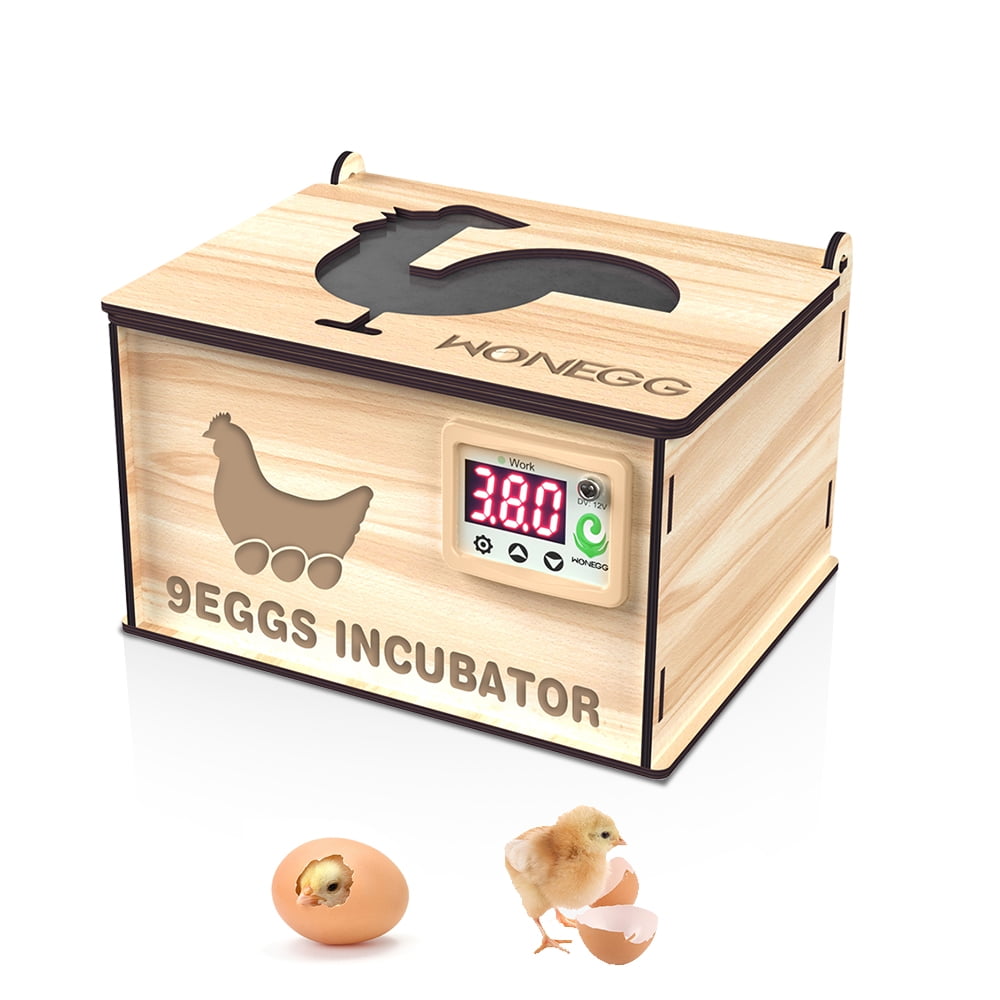 Brooders,Incubator Incubators With Temperature Chicken Quail Incubators ...