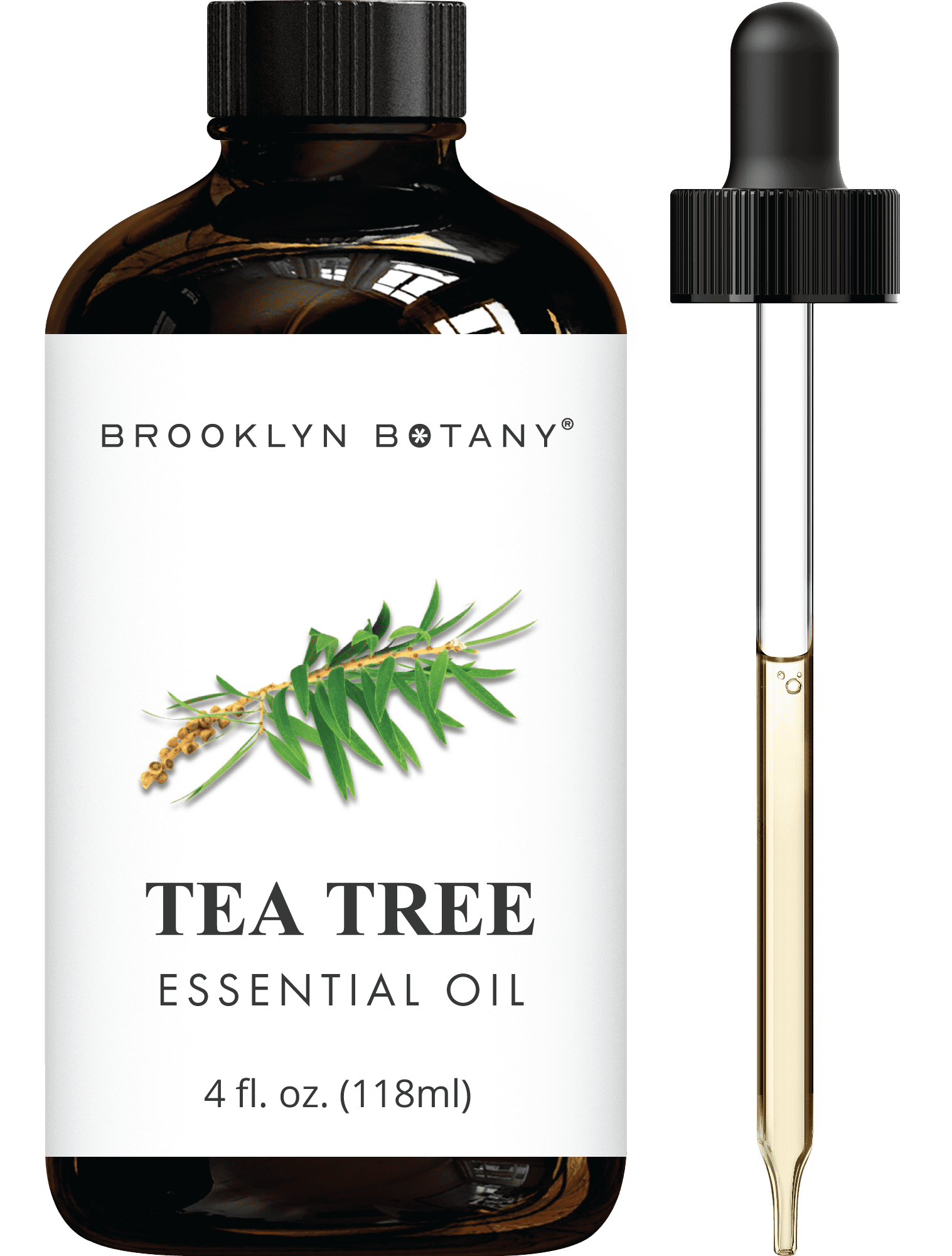 Brooklyn Botany Tea Tree Essential Oil - Huge 4 Fl Oz - 100% Pure and ...