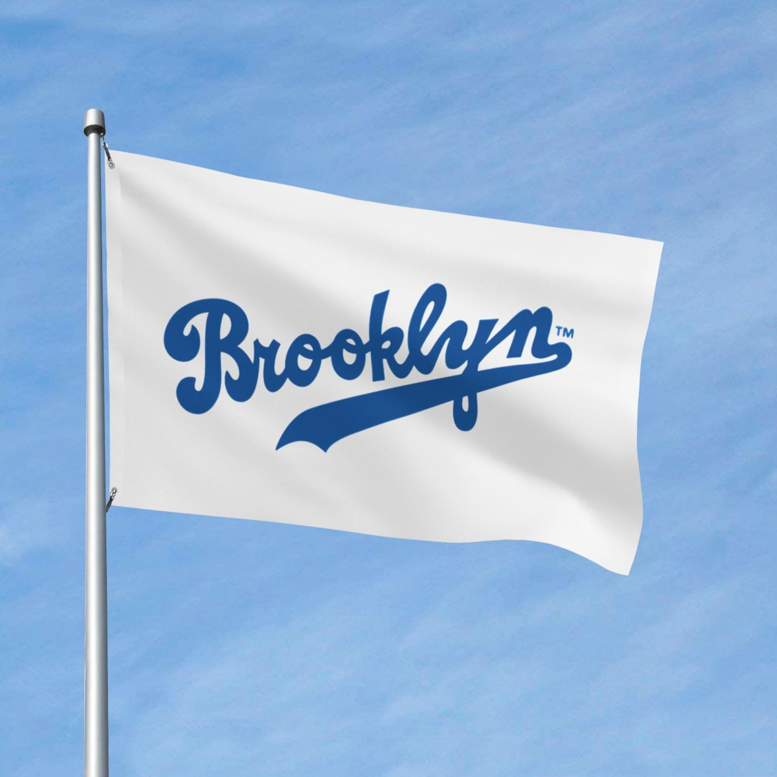 Brooklyn Cyclones Logo Banner 3x5 Ft Flag,Double Sided Printed Flag ...