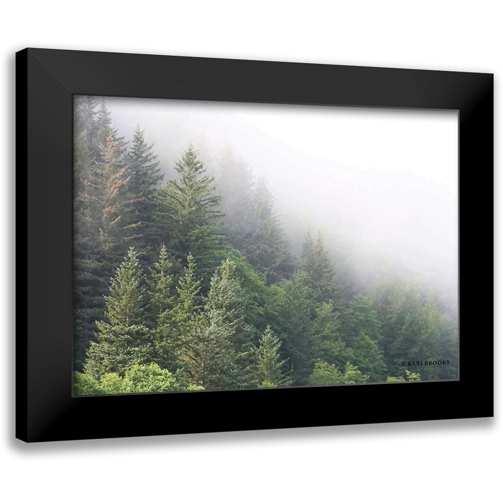 Brooks, Kari 24x18 Black Modern Framed Museum Art Print Titled - Alaska ...