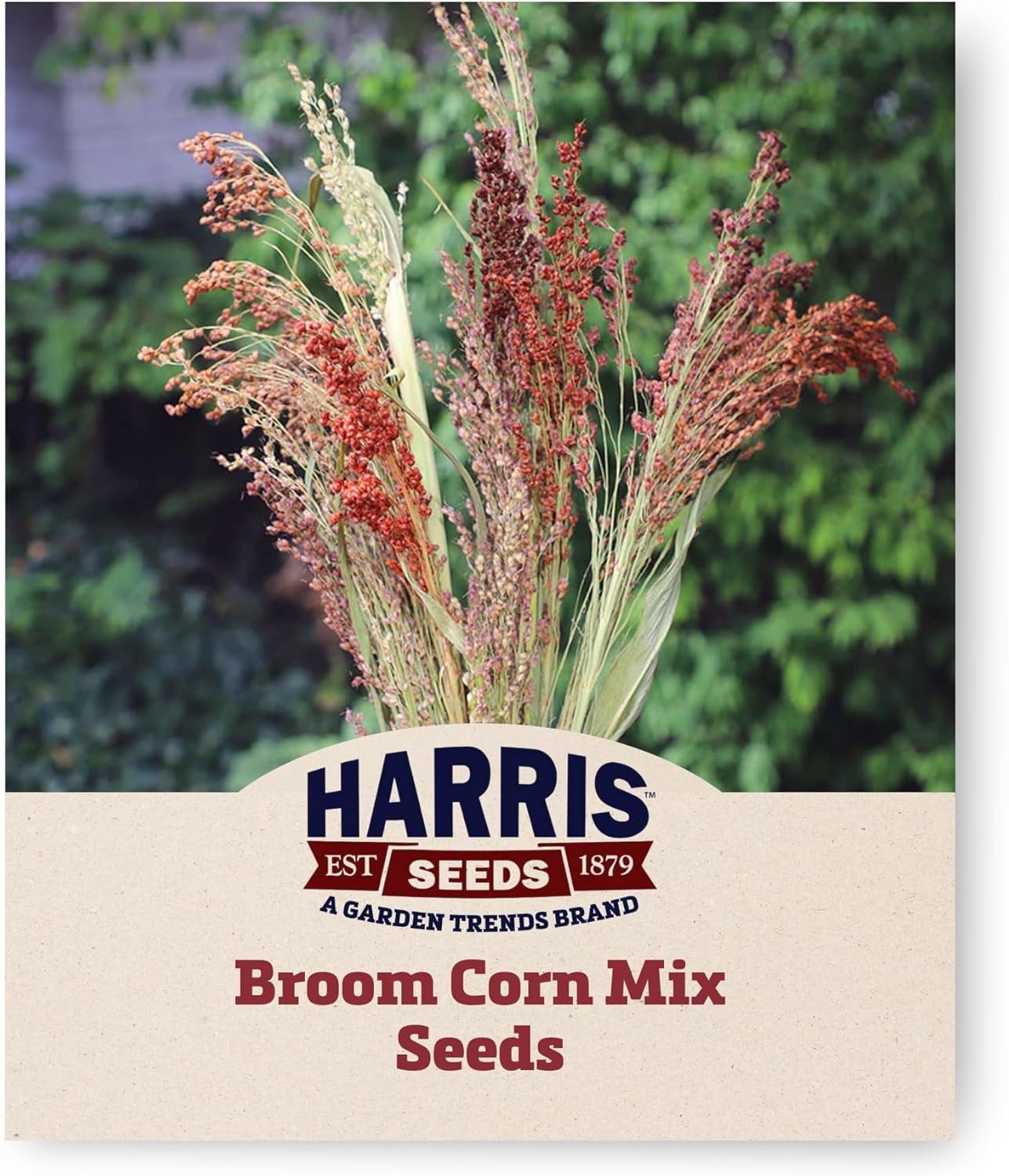 Harris Seeds - Mix Variety Broom Corn Seeds Non-GMO Vegetable- 1 lb ...