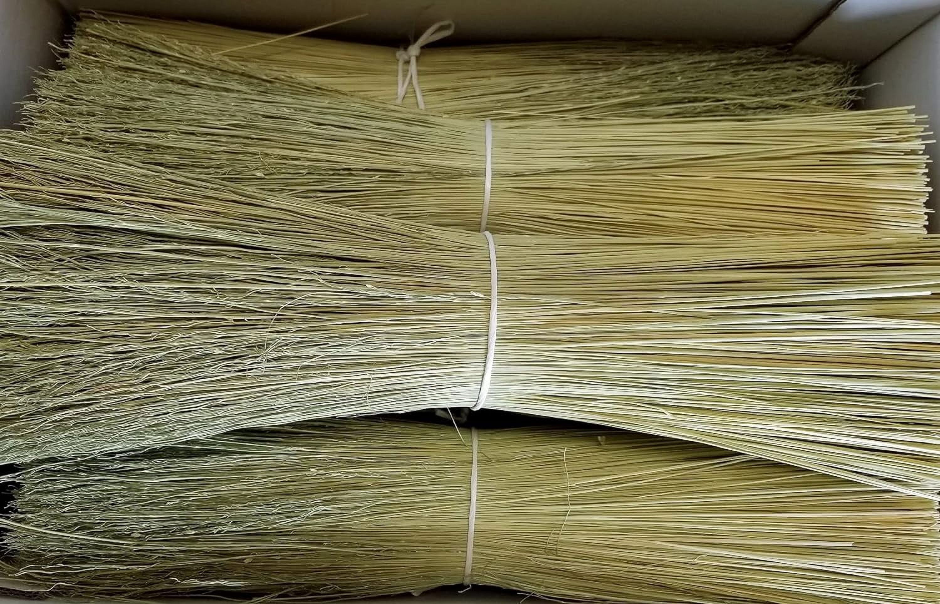 Broom Corn for Crafting and Broom Making 5 Pound Bundle 20" Length ...