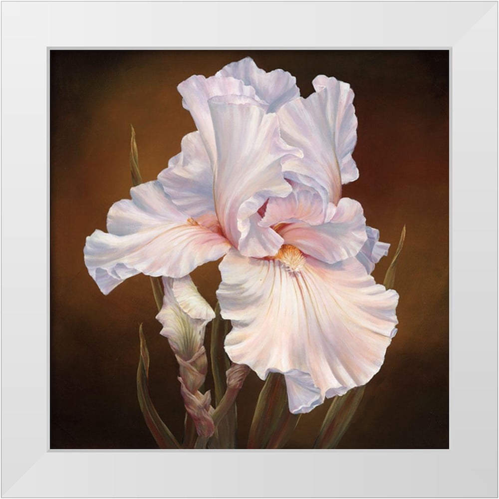 Broome, Marianne 12x12 White Modern Wood Framed Museum Art Print Titled ...
