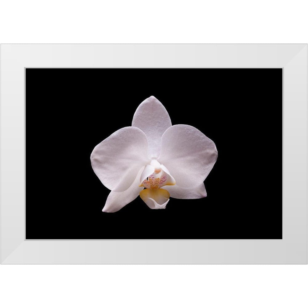 Brosius, Volker 18x13 White Modern Wood Framed Museum Art Print Titled ...