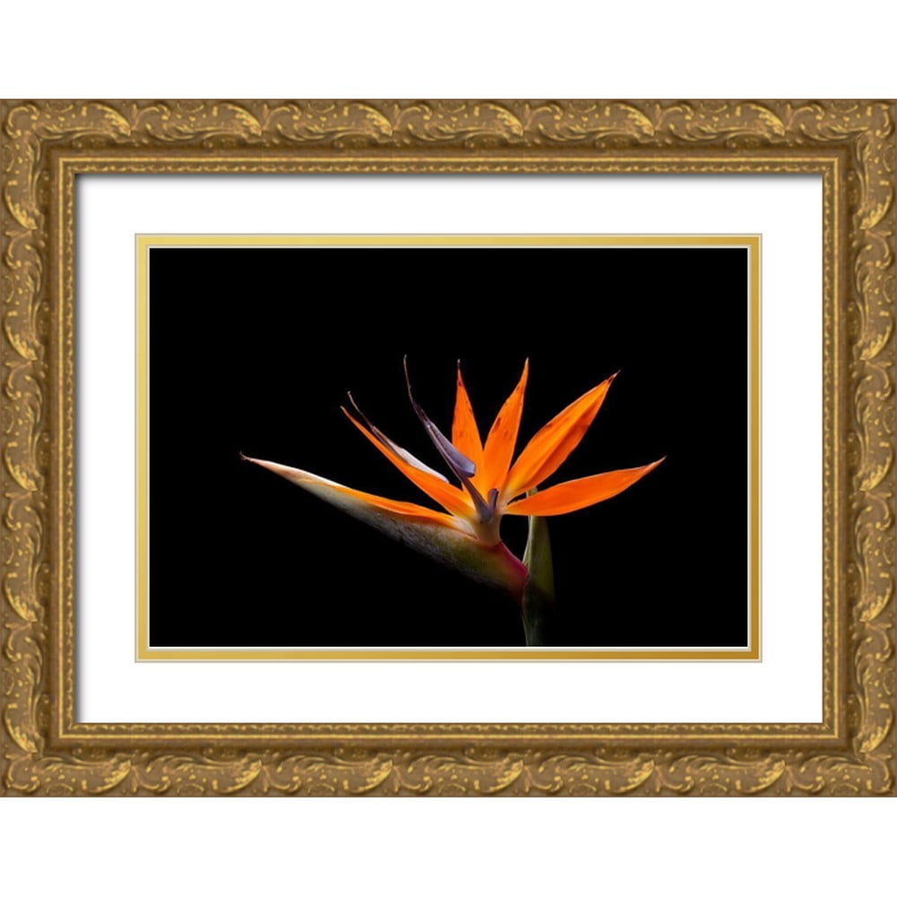 Brosius, Volker 24x17 Gold Ornate Wood Framed with Double Matting ...