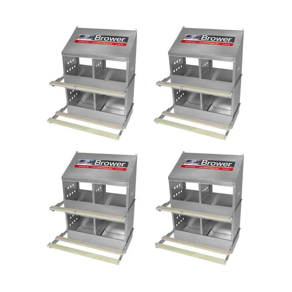 Brower Galvanized Steel 4 Hole 20 Bird Nest Chicken Brooding Box (4 ...