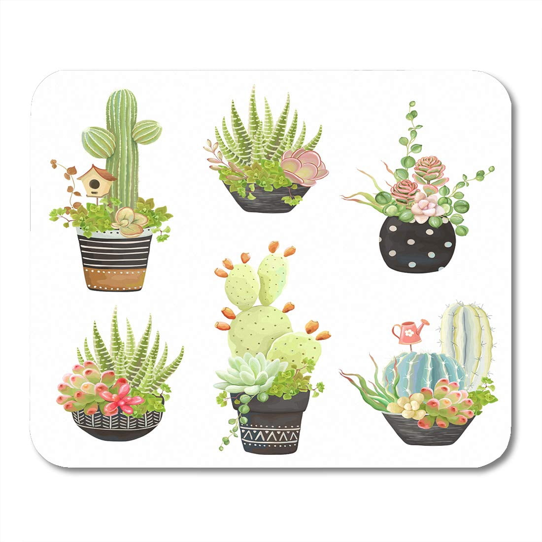 Brown Aloe Collection of Flower Pots Cacti and Succulents in Vintage ...