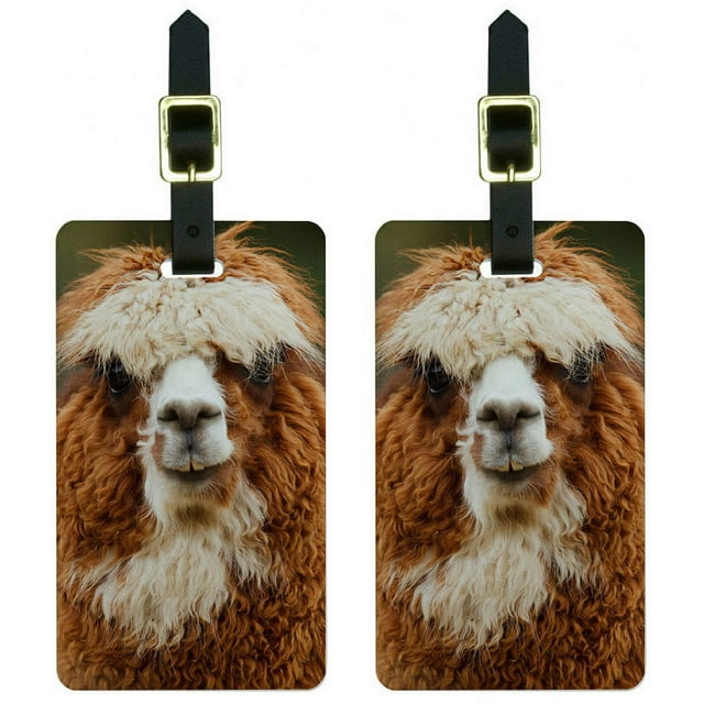 Brown Alpaca Llama Luggage Tags Suitcase Carry-On ID, Set of 2 ...
