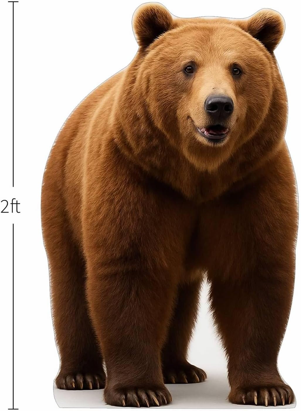 Brown Bear 2FT Life Size Cardboard Cutout – A Fun Animal Standup for ...