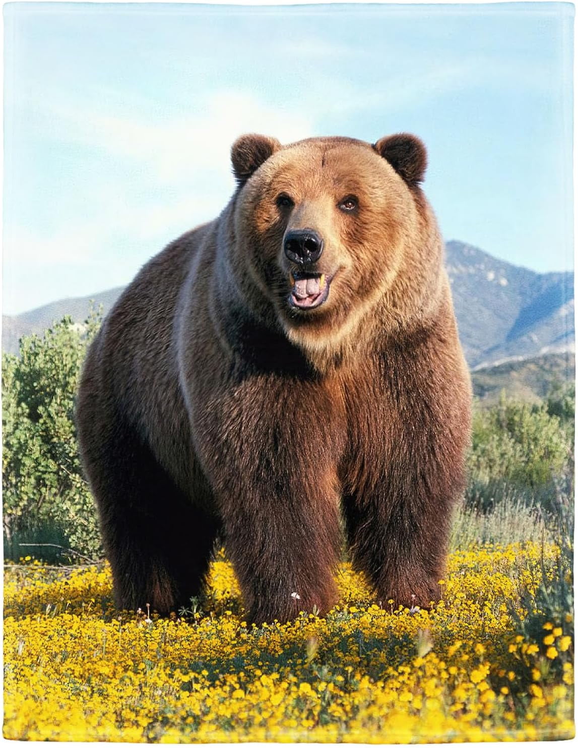 Brown Bear Blanket Giant Grizzly Bear Fleece Blanket Soft Fuzzy Plush ...
