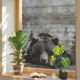 Brown Bears Country Window Privacy Film Rainbow Static Cling Stain ...