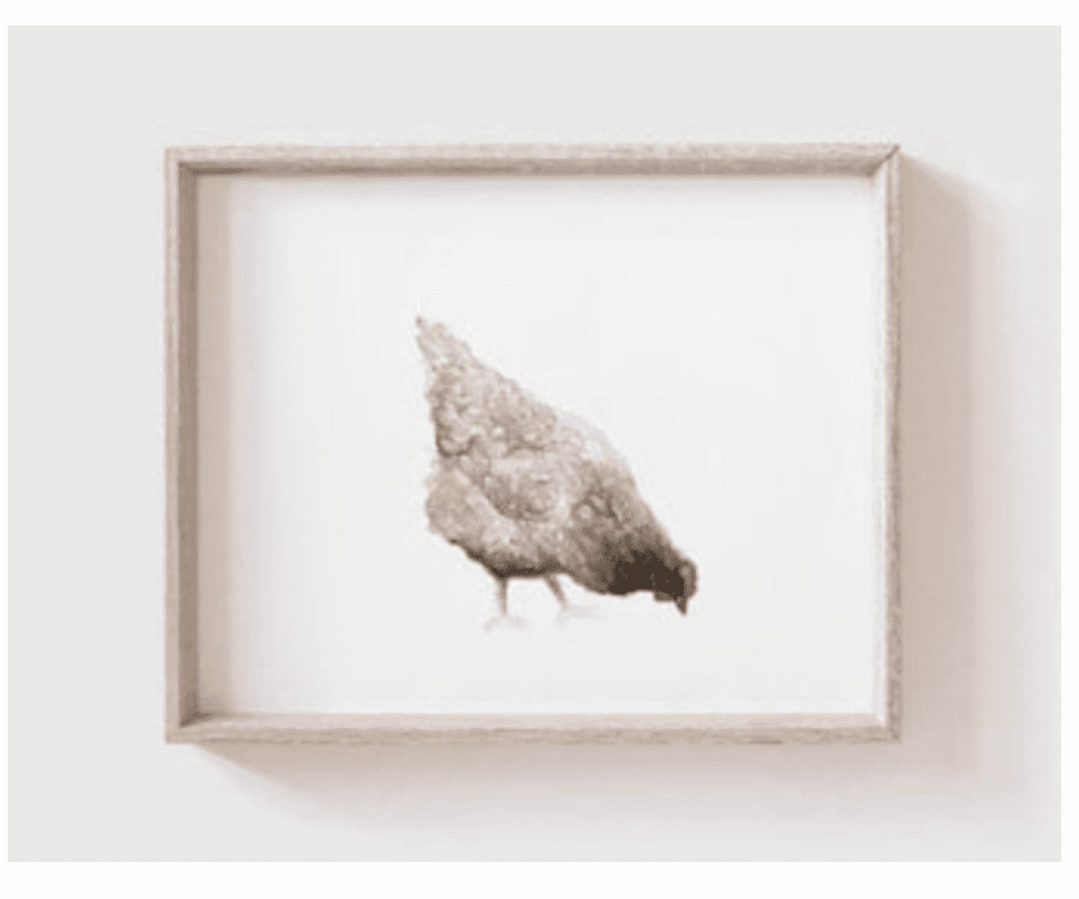 Brown Chicken Poster Farm Animal Watercolor Style Painting Chicken Hen ...