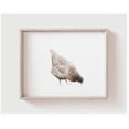 Brown Chicken Poster Farm Animal Watercolor Style Painting Chicken Hen ...