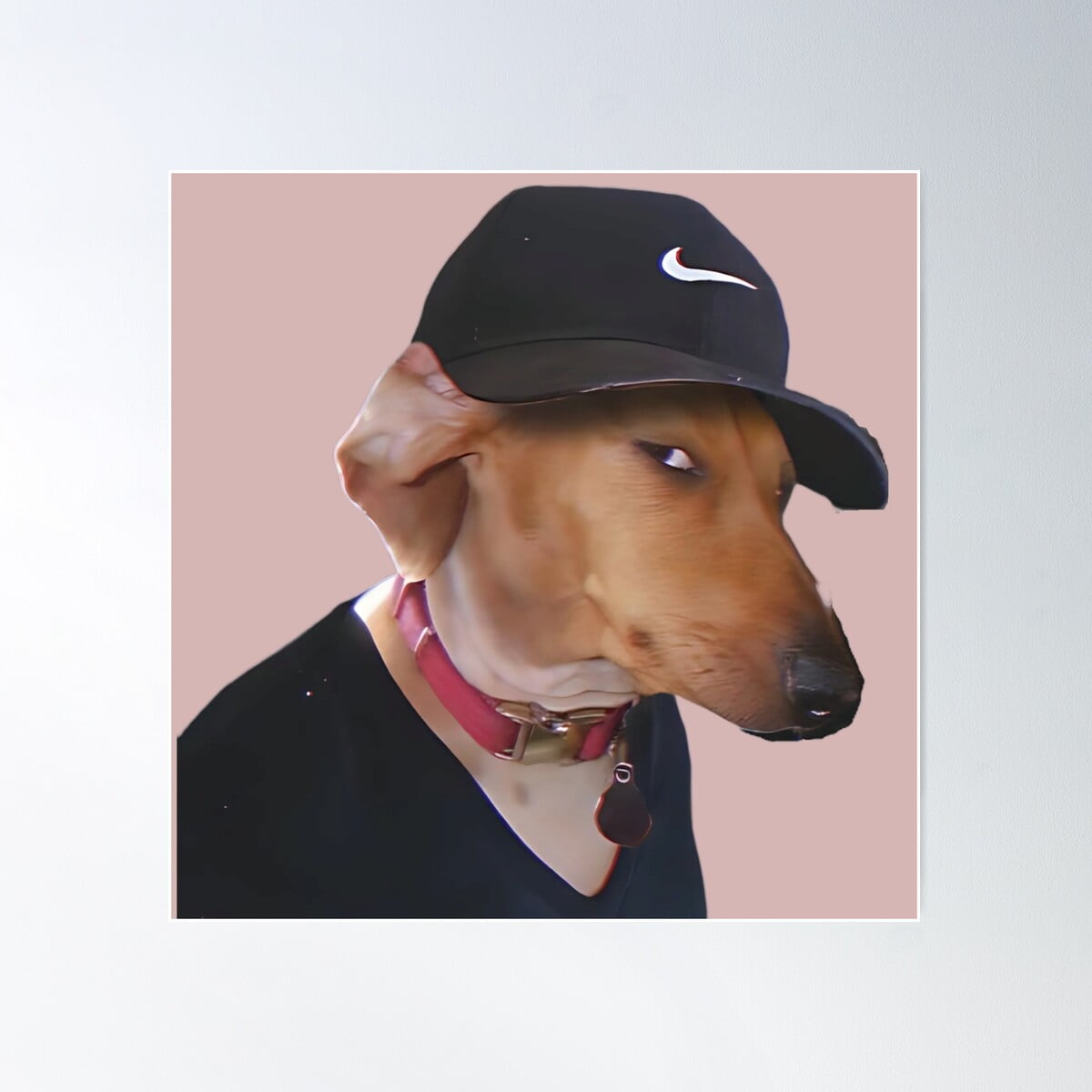 Brown Dog Side Eye Meme Poster, 8x12 UNFRAMED - Walmart.com