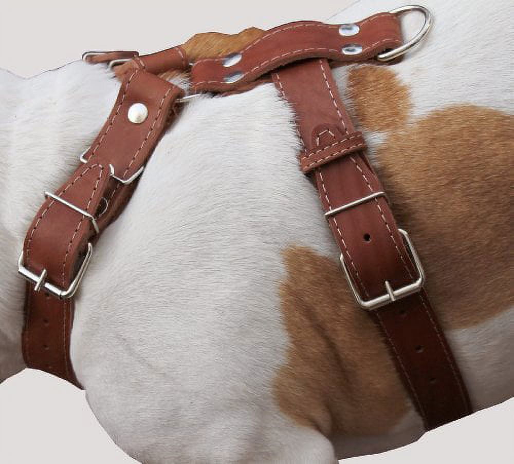 Brown Genuine Leather Dog Harness, Large to XLarge. 35"-39" Chest, 1.5 ...